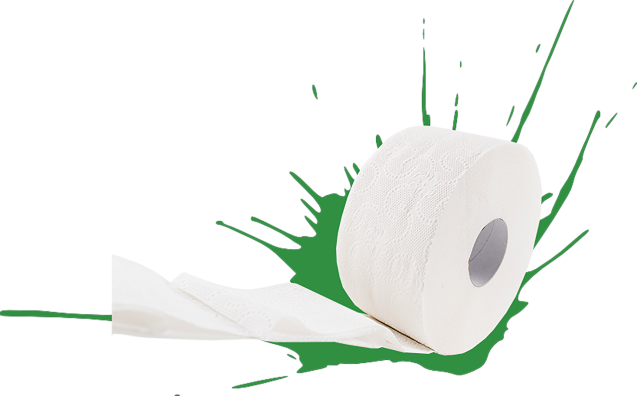fabricadehartiefulg.ro | fabrica de hartie